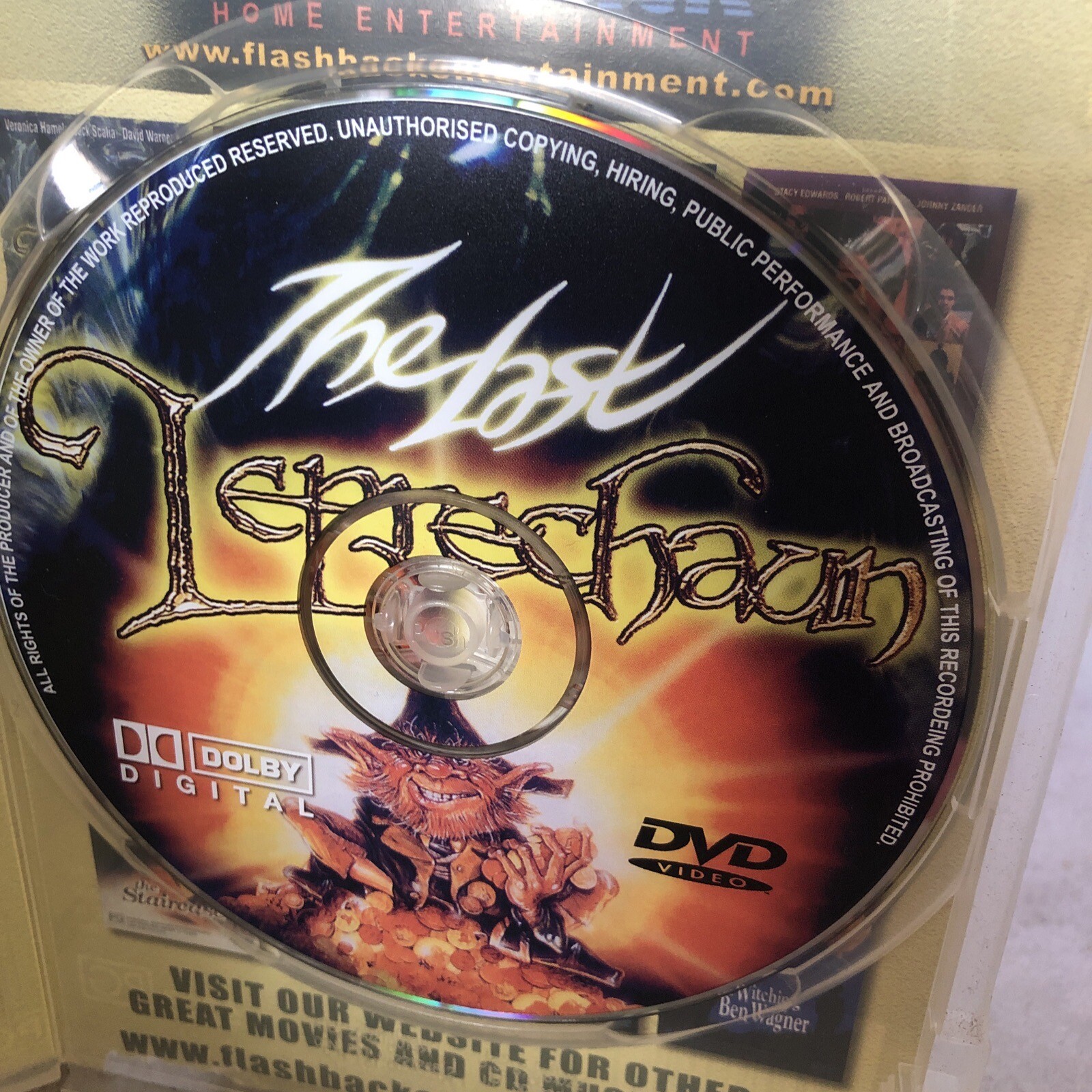 Last Leprechaun, the (DVD, 1999) VGC. Free Shipping. Paper Insert Tatty ...