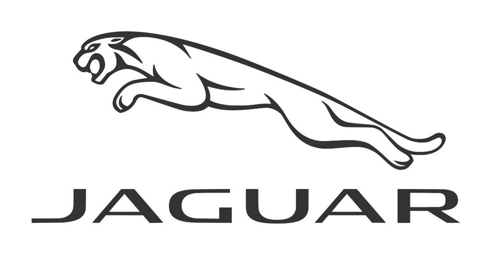 Genuine Jaguar OE Battery 429123481 | eBay