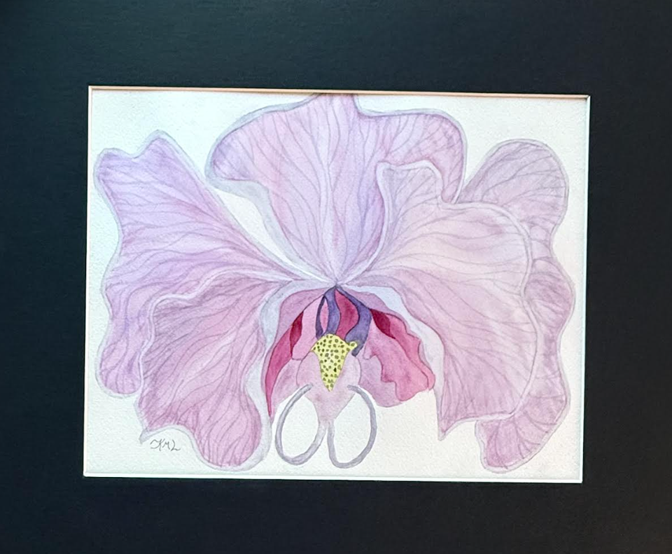 PAINTING WATERCOLOR 11X14 AND BLACK MAT 16X20 FLOWER ORCHID PINK ...