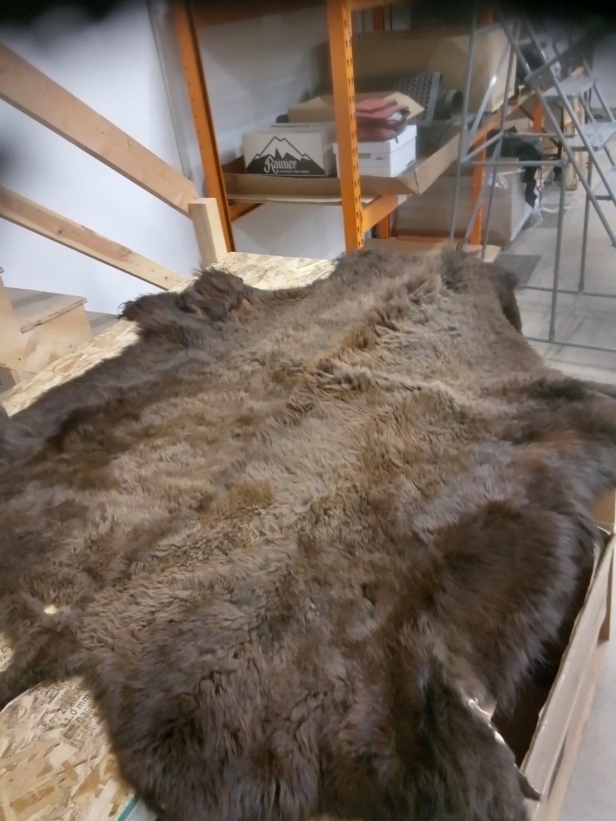 Buffalo, Bison Hide (Rug, fur, skin) 5x7. Tanned. Small farm. Winter ...