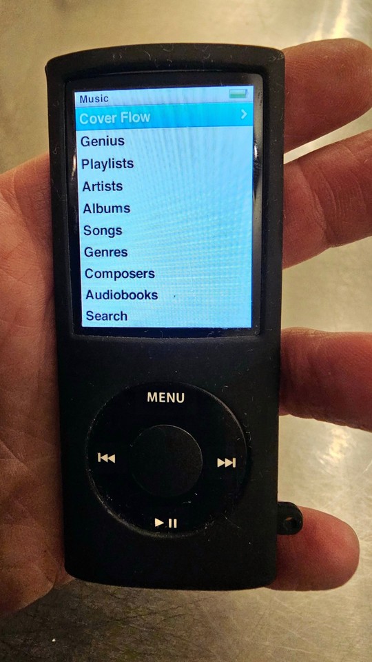 Apple iPod Nano-Chromatic 4th Generation Black (8GB) model A1285 | eBay UK