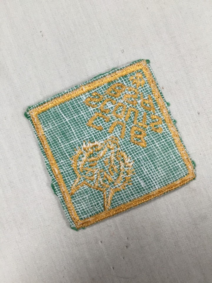 1950's Cub Scout Pack Assistant Cubmaster twill gauze BSA Rank Patch | eBay