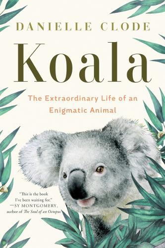 Danielle Clode Koala (Poche) 9781324074496 | eBay