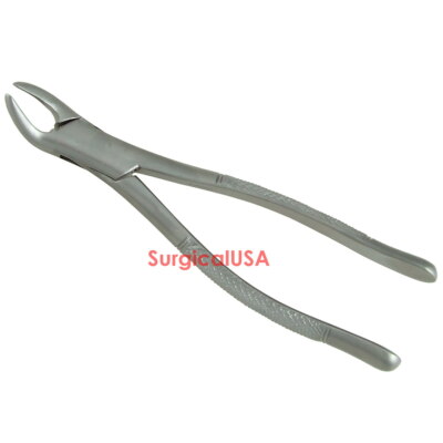 Extracting Forceps 151 Serrated Lower Universal Dental Surgical ...
