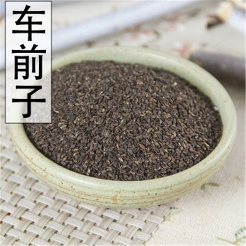 250g Psyllium Seed Natural Plantago Asiatica Seed Che Qian Zi Plantain ...