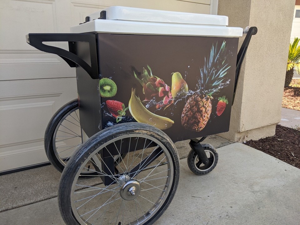 STREET VENDOR PUSH CART COOLER FRUIT BOWLS CART BEER CART MOBILE VENDOR ...
