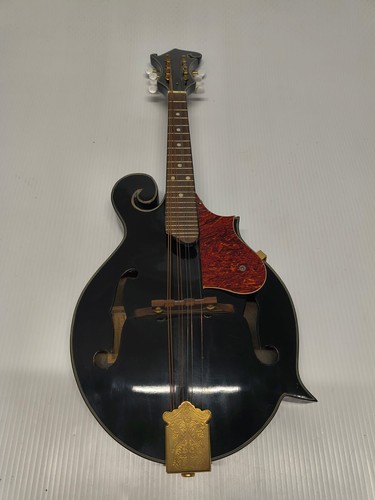 Santini Mandolin | eBay