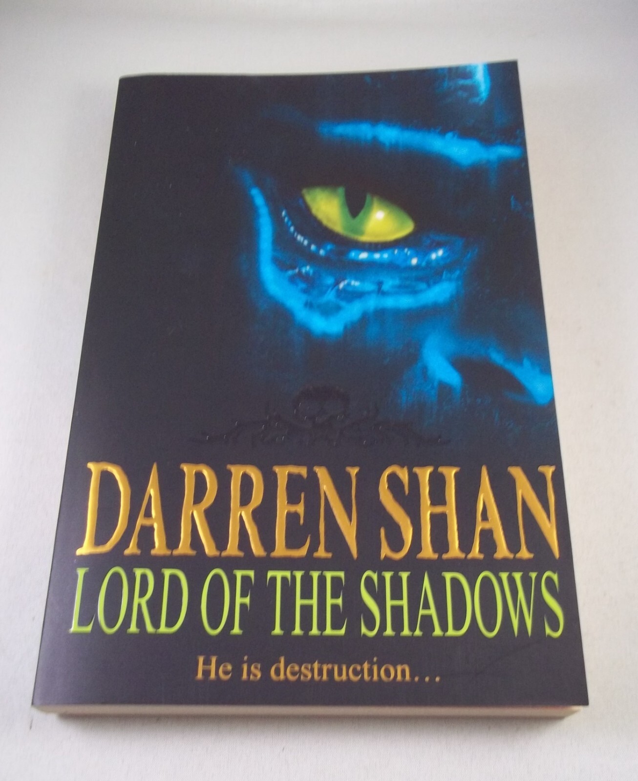 Darren Shan 11: Lord of the Shadows - Young Adult Horror Book ...