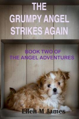 The Grumpy Angel Strikes Again 9781502506993| eBay