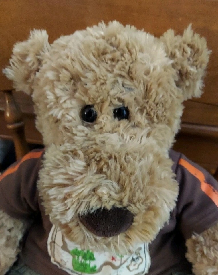 Build A Bear Tan Shaggy Bear Wearing Treasure Hunt Shirt And Camouflage Shorts | eBay