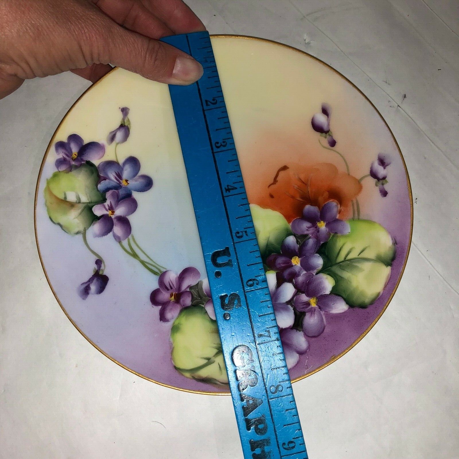 Vintage Hand Painted Purple Violet Porcelain Plate PNT Bavaria 7 3/4 ...