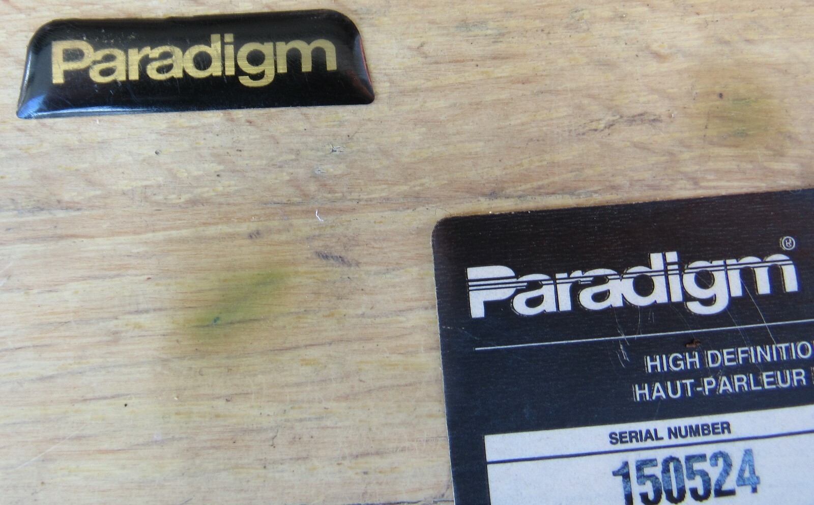 Paradigm Atom Crossover, Name Badge & Label Original Speaker ...