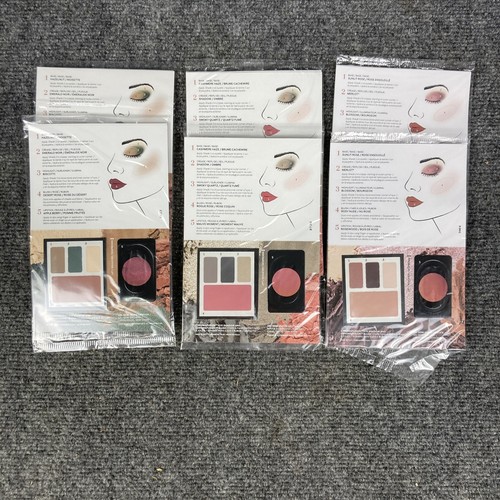 Set of 6 Mary Kay Chromafusion Lipstick Eye & Cheek Color Sample Cards ...