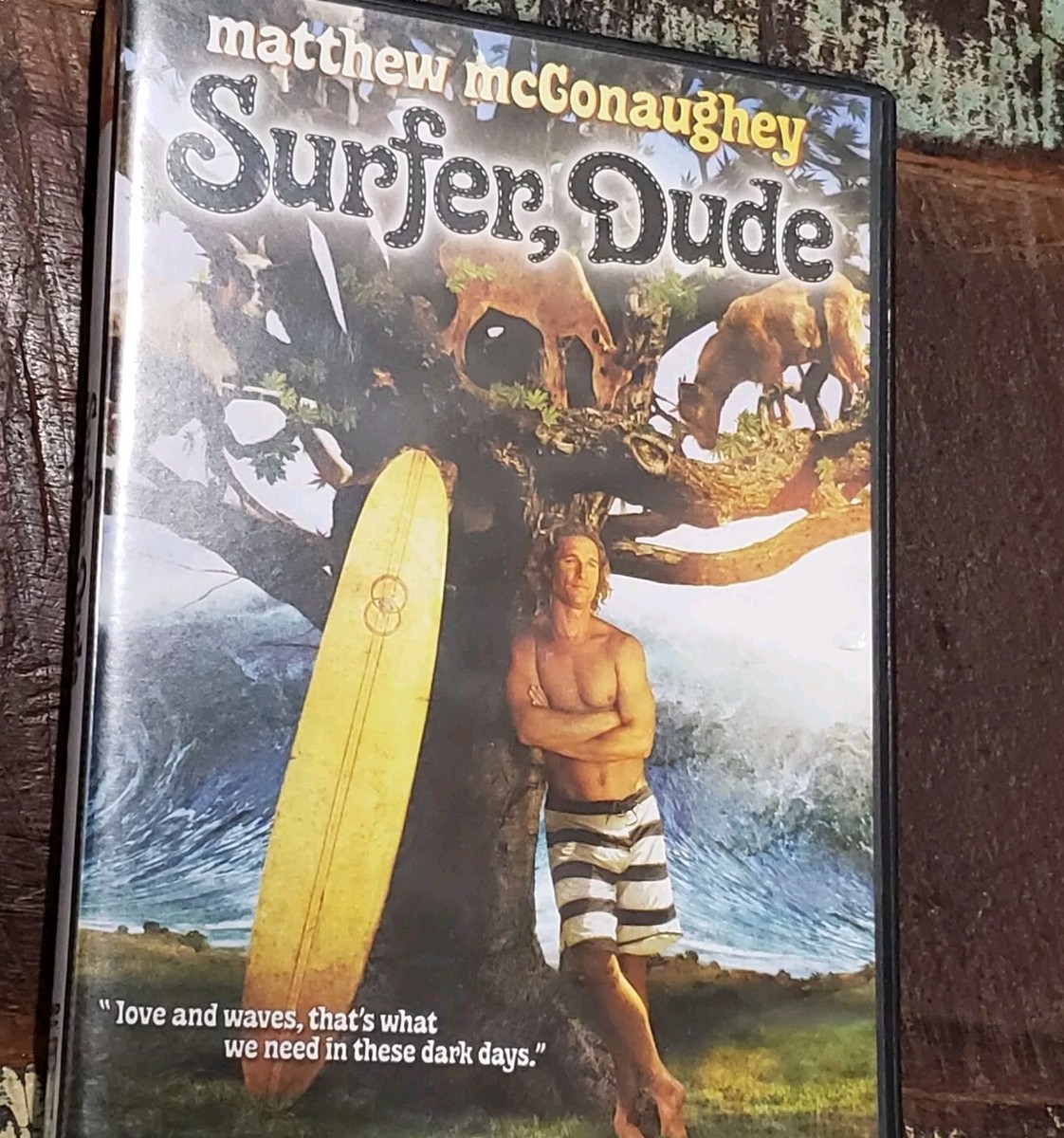 Matthew Mcconaughey Surfer Dude