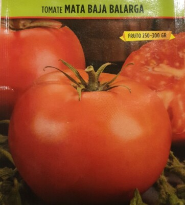 20 Seeds Tomato BALARGA Tomate Mata Baja Balarga Spanish Beefsteak ...