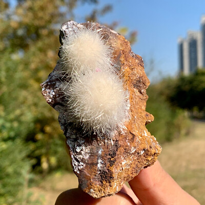 110G Indian dandelion zeolite Quartz Crystal Cluster Mineral Specimen ...