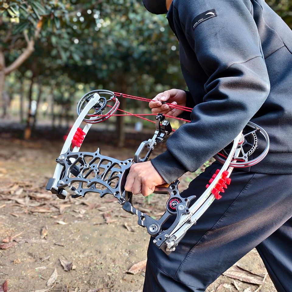 22" Compound Bow 30-75lb Steel Ball Short Axis Let Off 80% Archery ...