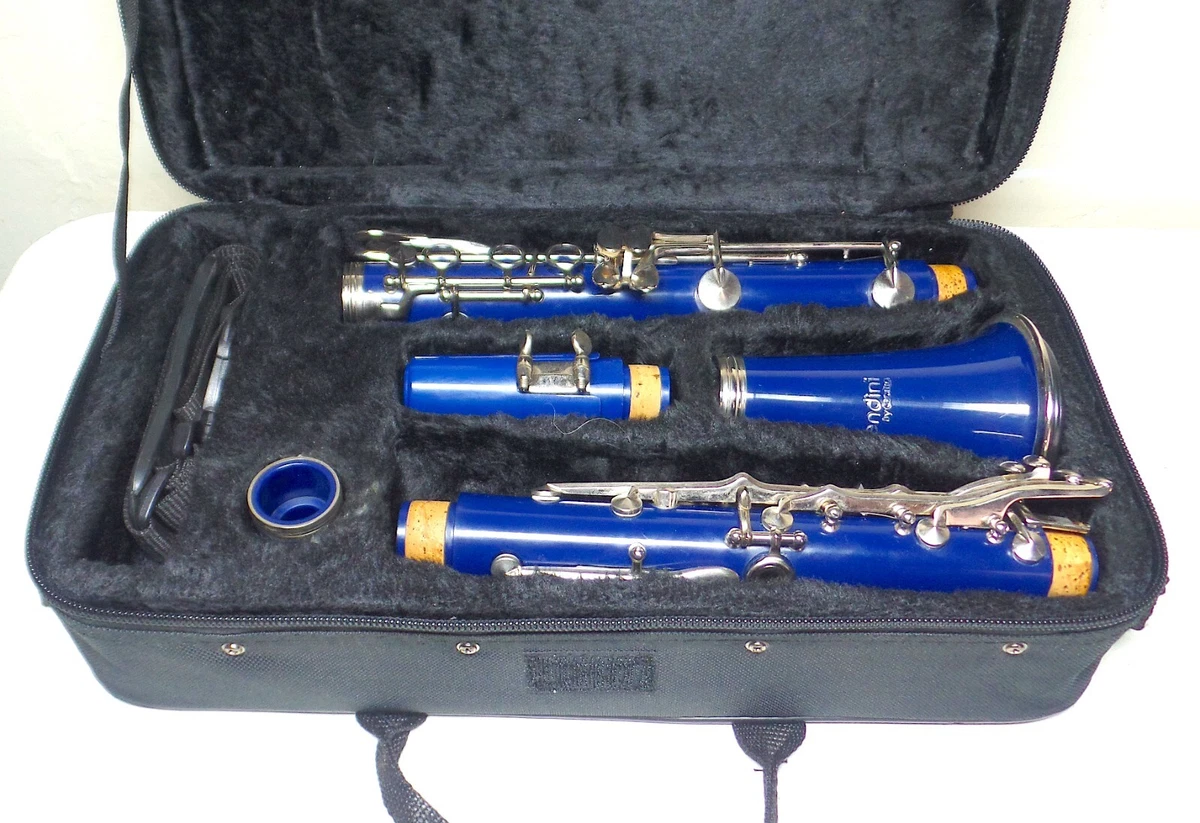 Blue Clarinet Instrument