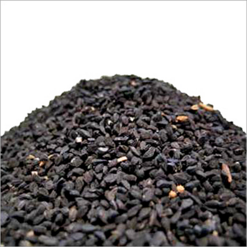 Ayurveda Beejband Sida Cordifolia Seeds Black Country Mallow Whole ...