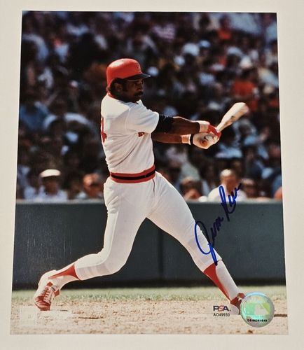 JIM RICE Signed 8x10 Photo-HALL OF FAME-BOSTON RED SOX-PSA | eBay