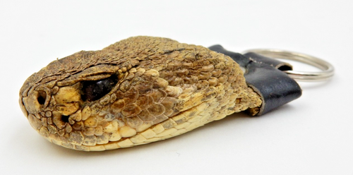 VINTAGE RATTLESNAKE HEAD KEYCHAIN REAL TAXIDERMY CAR KEY RING CHAIN | eBay