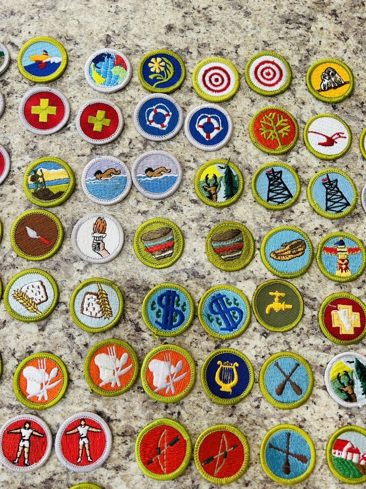 Boy Scout Lot Of 76 Class H Merit Badges 49 Different | eBay