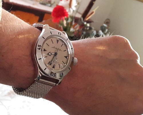 Vostok Amphibian Classic Men's Watch - 120849 for sale online | eBay