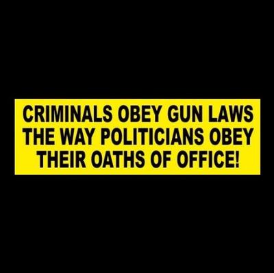 "CRIMINALS & POLITICIANS" 2nd Amendment BUMPER STICKER pro gun rights ...
