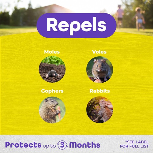 Mole Max 10 lb Mole & Vole Repellent Granules Ready-to-Use | eBay