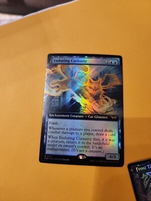 Enduring Curiosity (Extended Art) Duskmourn: House of Horror Foil | eBay