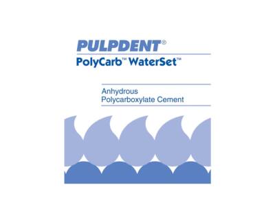 Pulpdent CPC PolyCarb Waterset Anhydrous Polycarboxylate Dental Cement ...