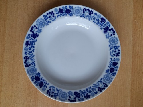 Spannende Geschirr Blau Gemustert Alt Bild