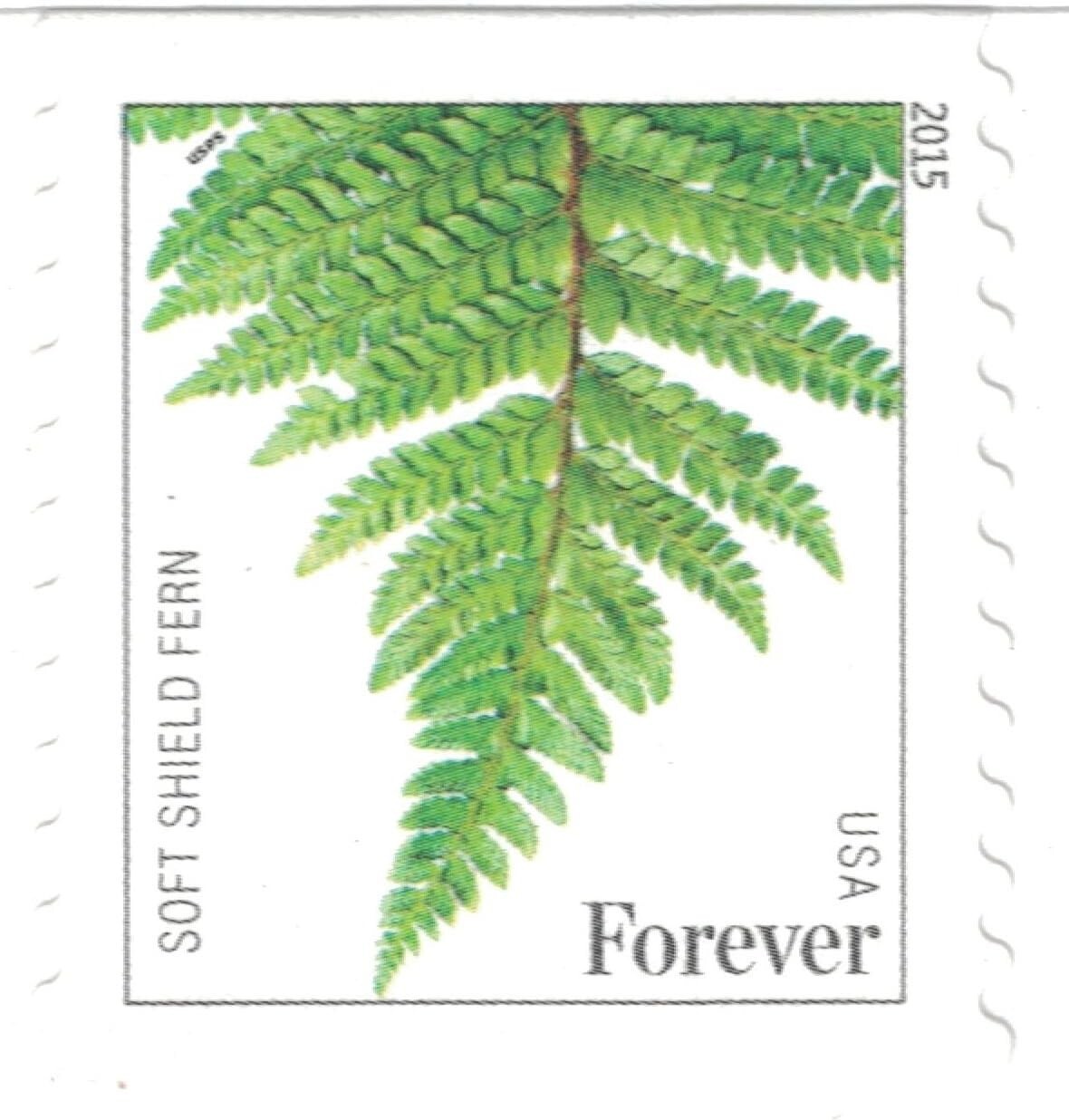 USPS Ferns Forever Stamps - Coil Strip of 5 Stamps | eBay