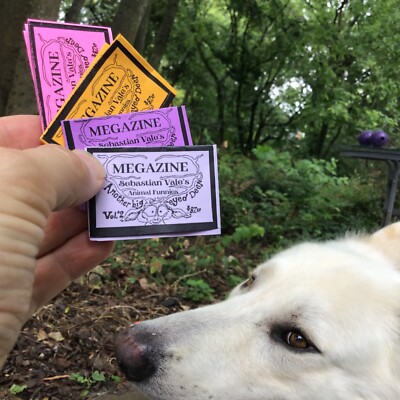 Animal cartoons 3 copies of MEGAZINE issue 2 tiny Art zines Sebastian ...