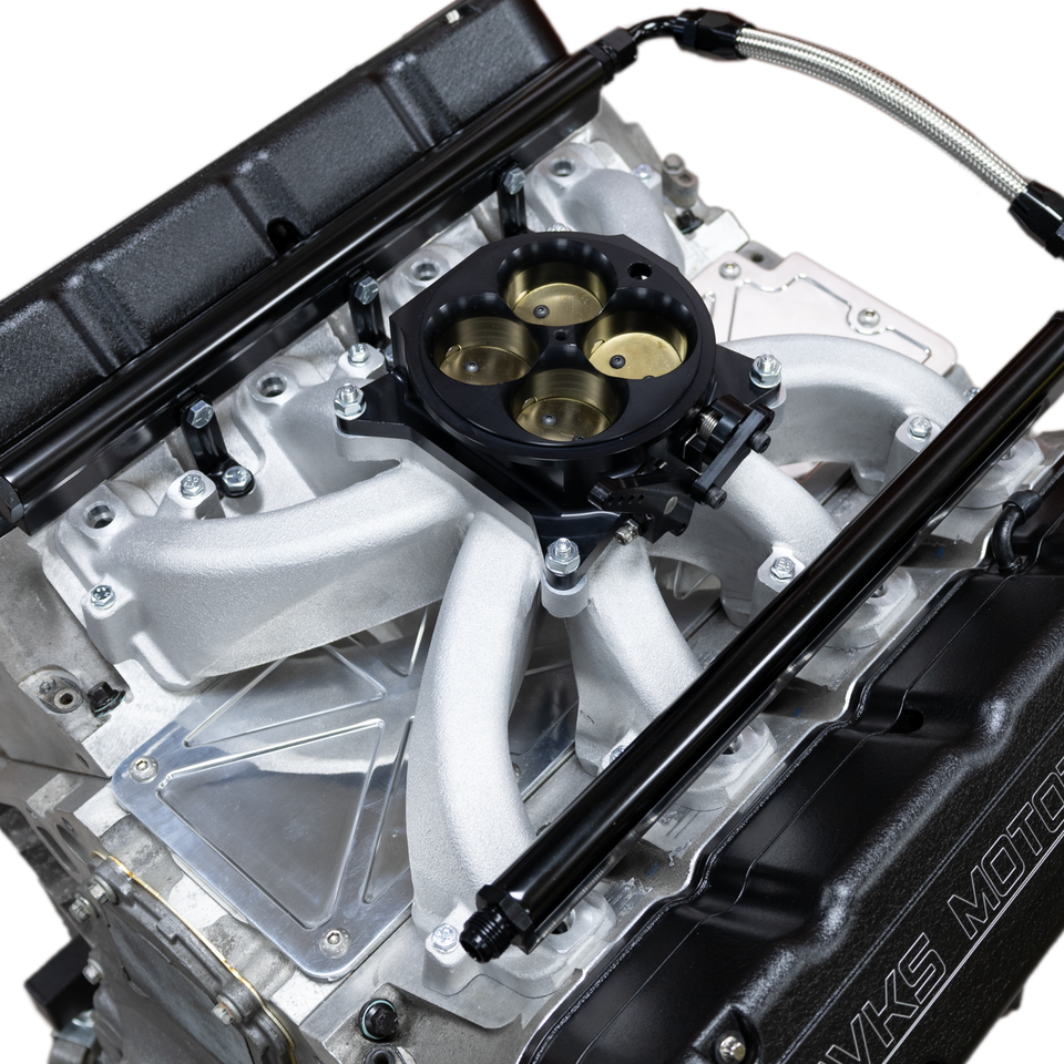 GM LS1/LS2/LS6 Cathedral Port Single Plane Cast Aluminum EFI Intake ...