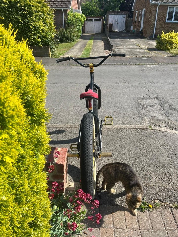 black SE fat ripper wheelie bike | eBay UK
