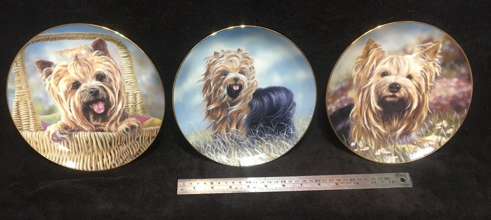 Danbury Mint Yorkshire Terriers Plates Set of 3 Paul Doyle Ltd Ed 8" | eBay