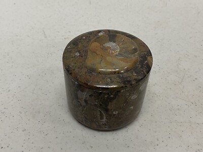Ammonite and Orthoceras Fossil Small Round Storage Box Container w/ Lid ...