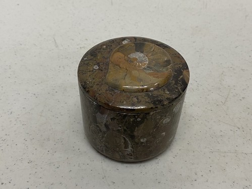 Ammonite and Orthoceras Fossil Small Round Storage Box Container w/ Lid ...