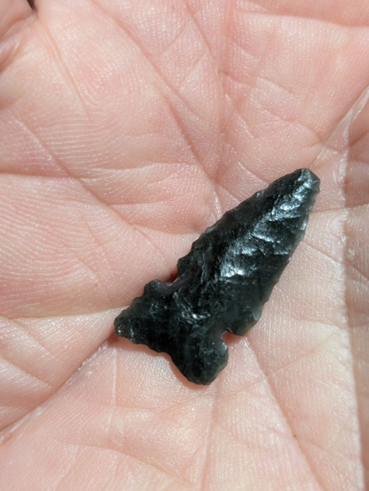 Fine Desert Sierra, 1 1/16", NW Nevada, Jet Black Obsidian, Authentic ...