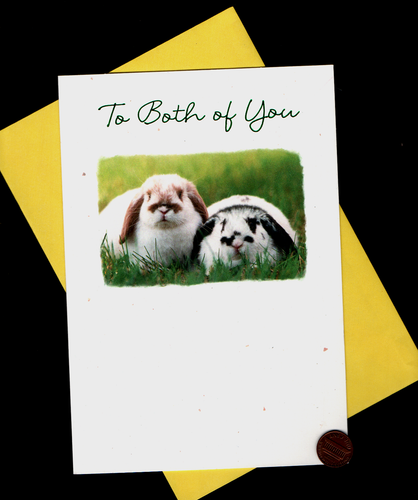 Easter Bunny Rabbits Grasses - LARGE - Greeting Card W/ TRACKING | eBay