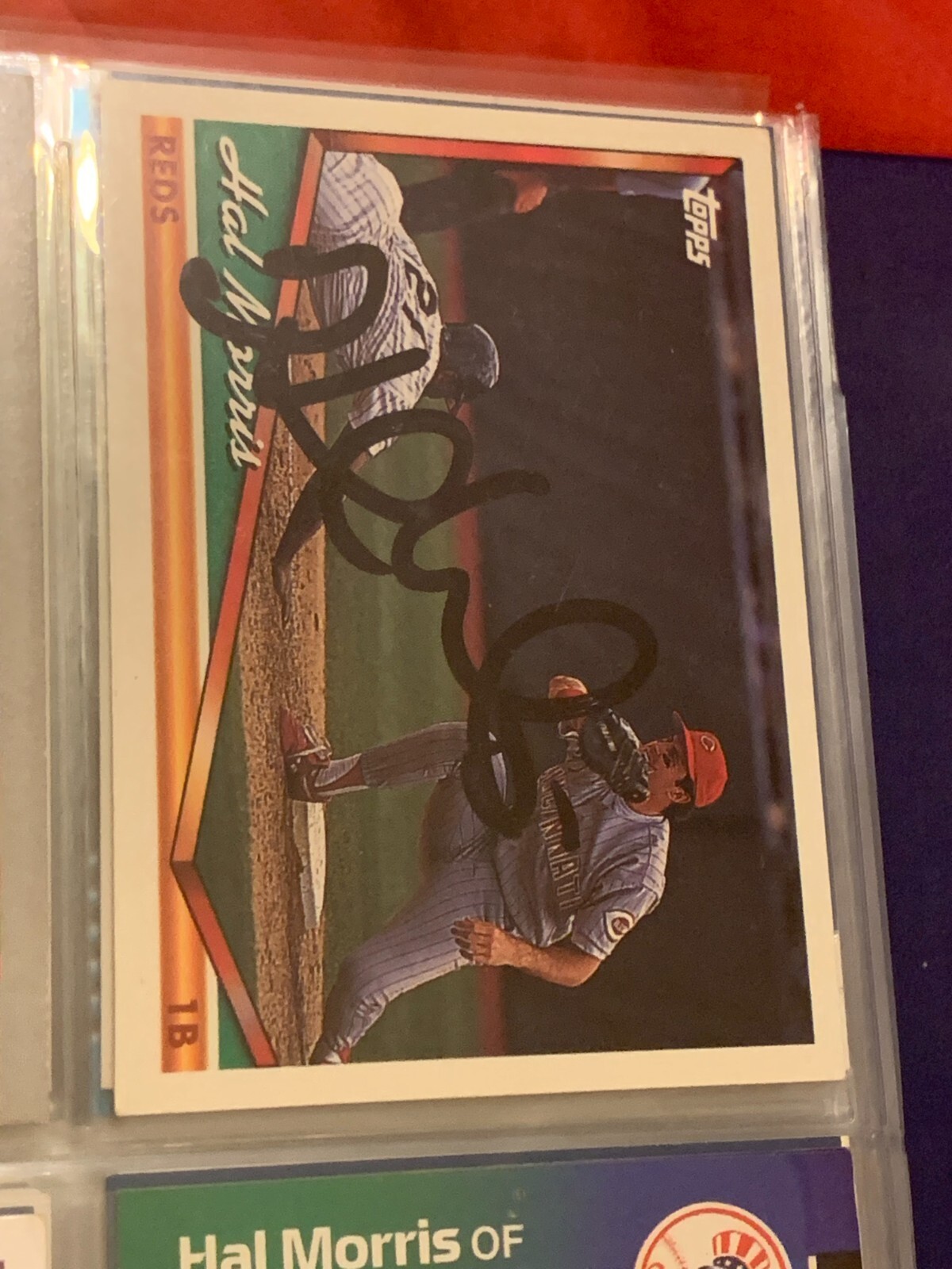 HAL MORRIS AUTOGRAPHED SIGNED 1994 TOPPS CARD REDS COA | eBay