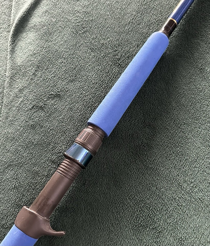 Seeker Blue Lightning Inshore Series II 8ft Rod BCBW807T | eBay