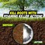 FOAMING Root Killer 10Lb Kills Tree Roots in Pipes & Sewer Line Drain ...