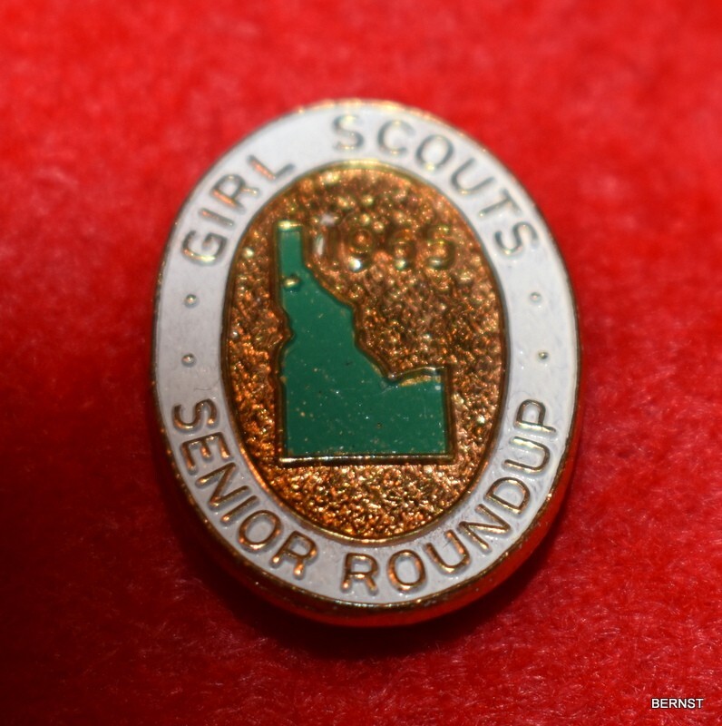 VINTAGE GIRL SCOUT - 1965 GIRL SCOUT SENIOR ROUNDUP PIN | eBay