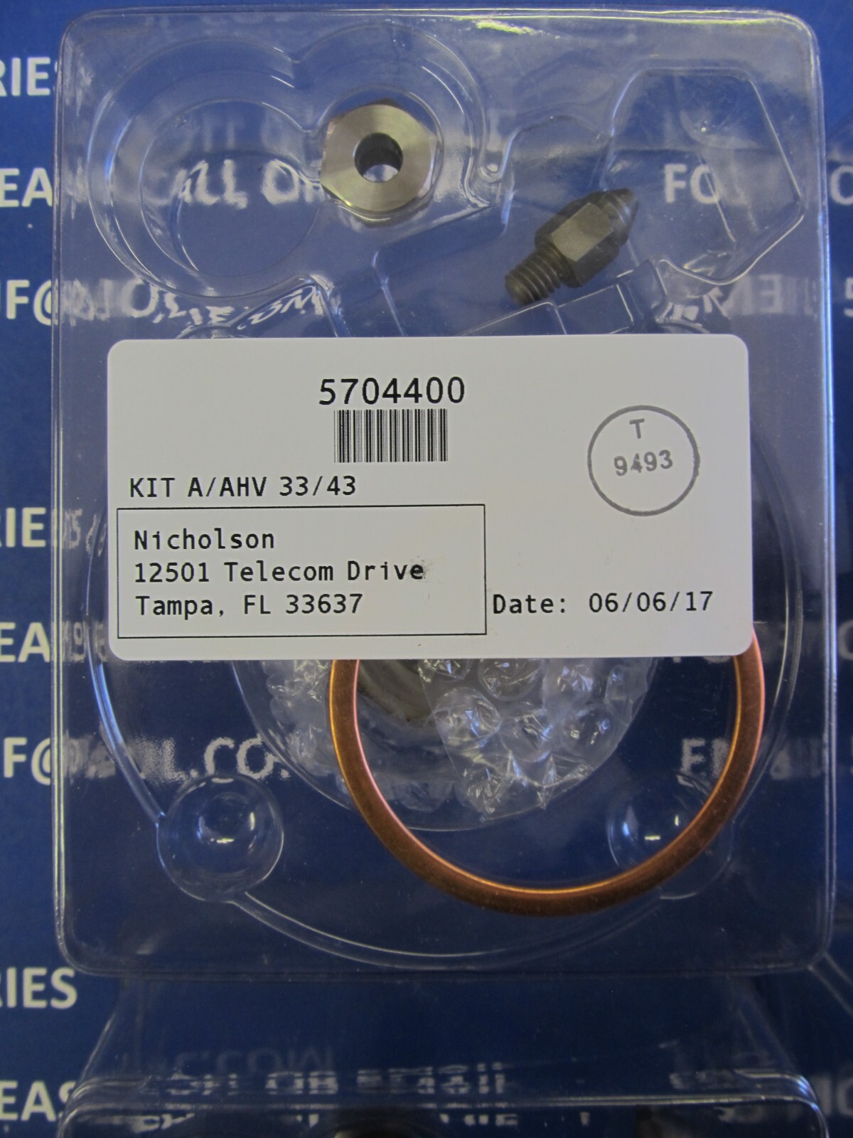 Nicholson 1/2"-3/4" N200/300/453 Fail Close Steam Trap Repair Kit, 5704400 | eBay