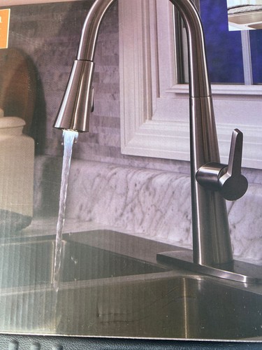 Bryton Stainless Steel 1-Handle Pull-Down Kitchen Faucet W/ LED Light ...