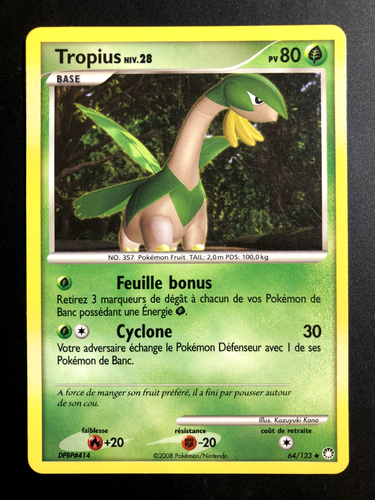 Carte Pokémon Tropius 64/123 D&P Trésors Mystérieux FR (port groupé) | eBay