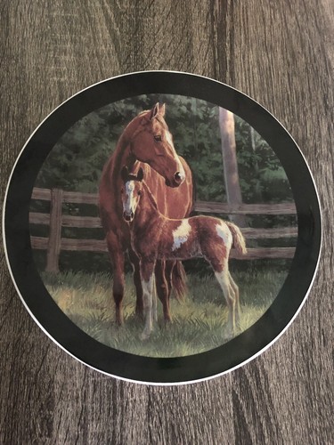Carson House Plate Collectable | eBay