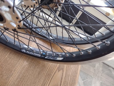 Wheels & Wheelsets - Alex Rims - Nelo's Cycles